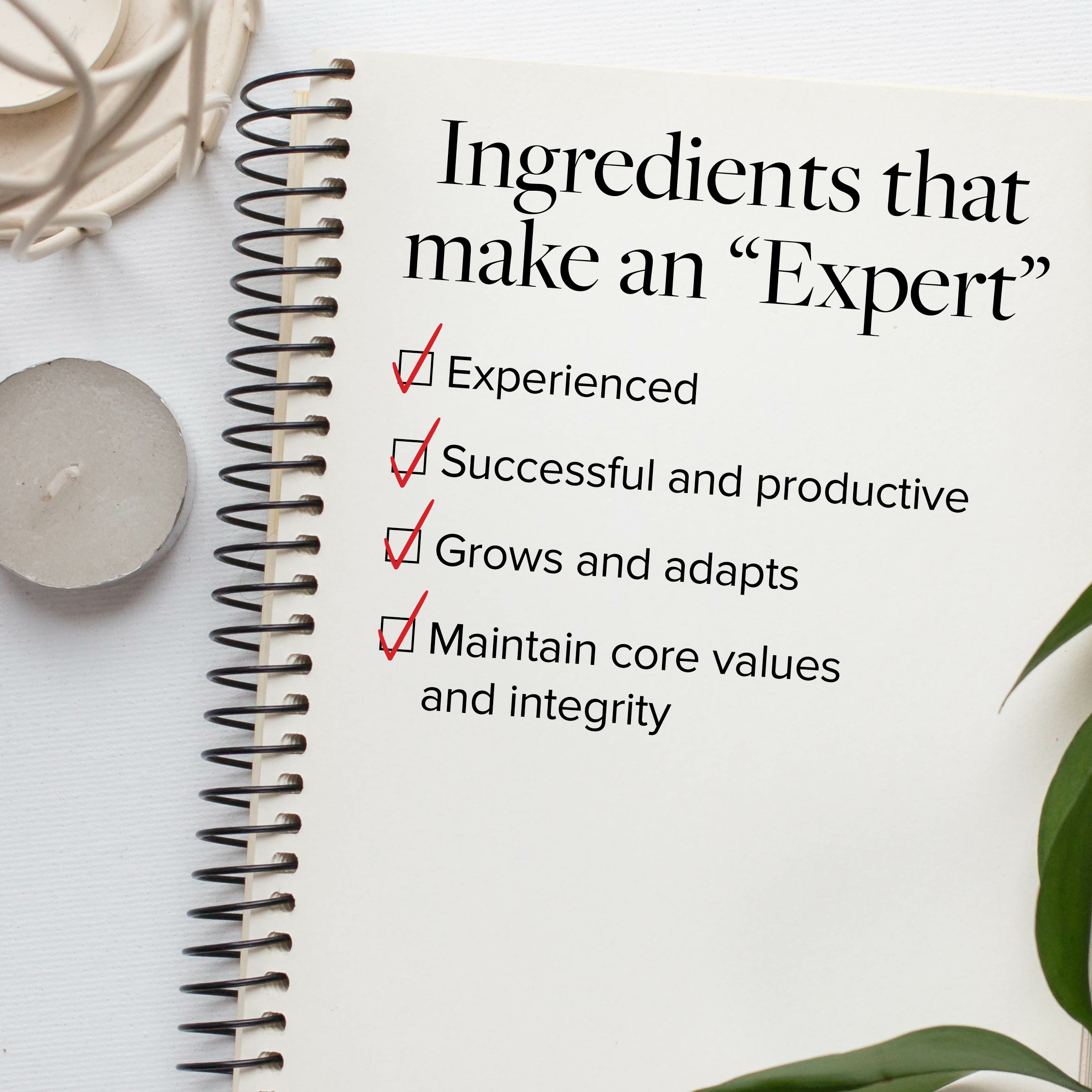 EXPERT | Team Fallico